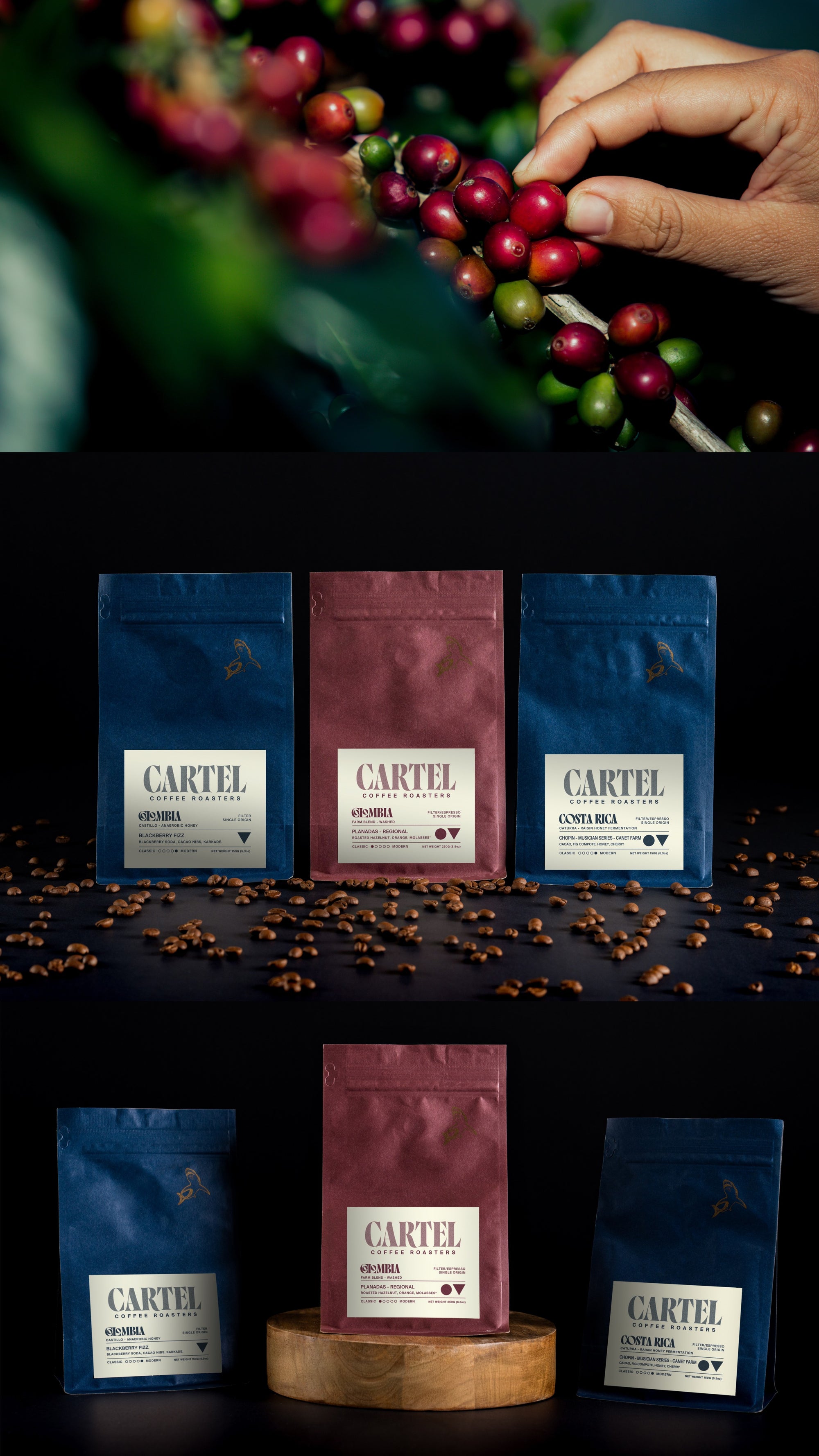 Cartel Coffee Roasters